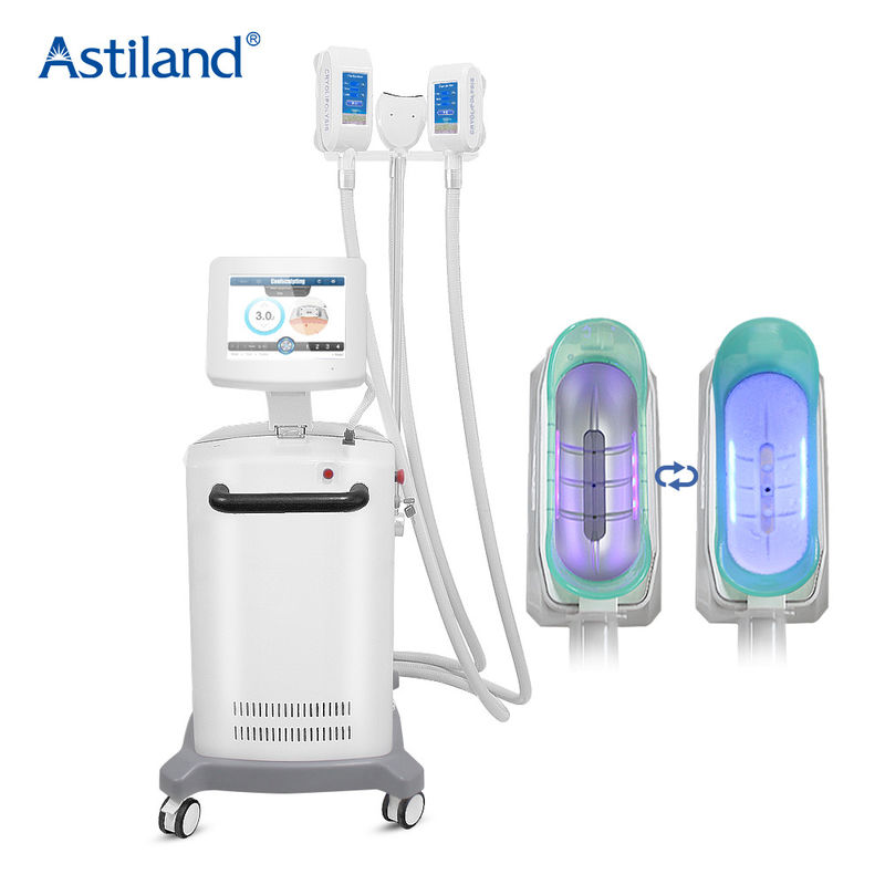 Cryolipolysis Machine Cryo Lipolaser RF Cavitation 4 In 1 Fat Freezer ...